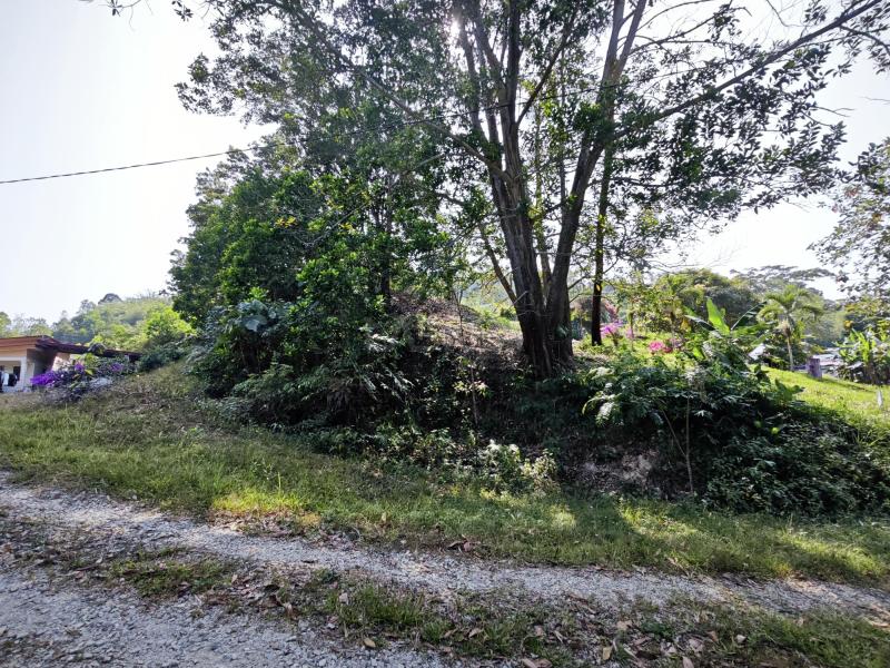 Tanah Tepi Jalan Utama Kg Cheringin Janda Baik, Bentong, Pahang - For ...